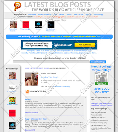 feature your BLOG or post on our blog network in 24
