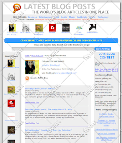 feature your BLOG or post on our blog network in 24