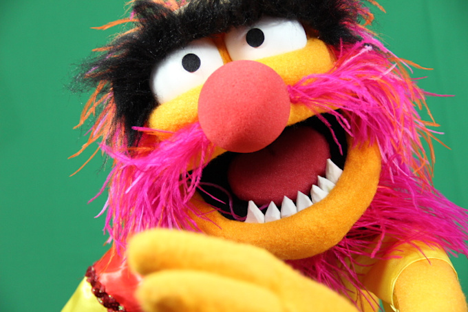 record puppet video about anything with Animal from the Muppets