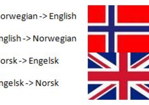 professionally translate Norwegian and English text