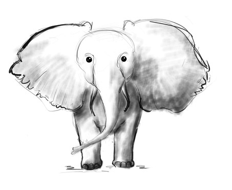 sketch a random cartoon animal for you and send you the digital file